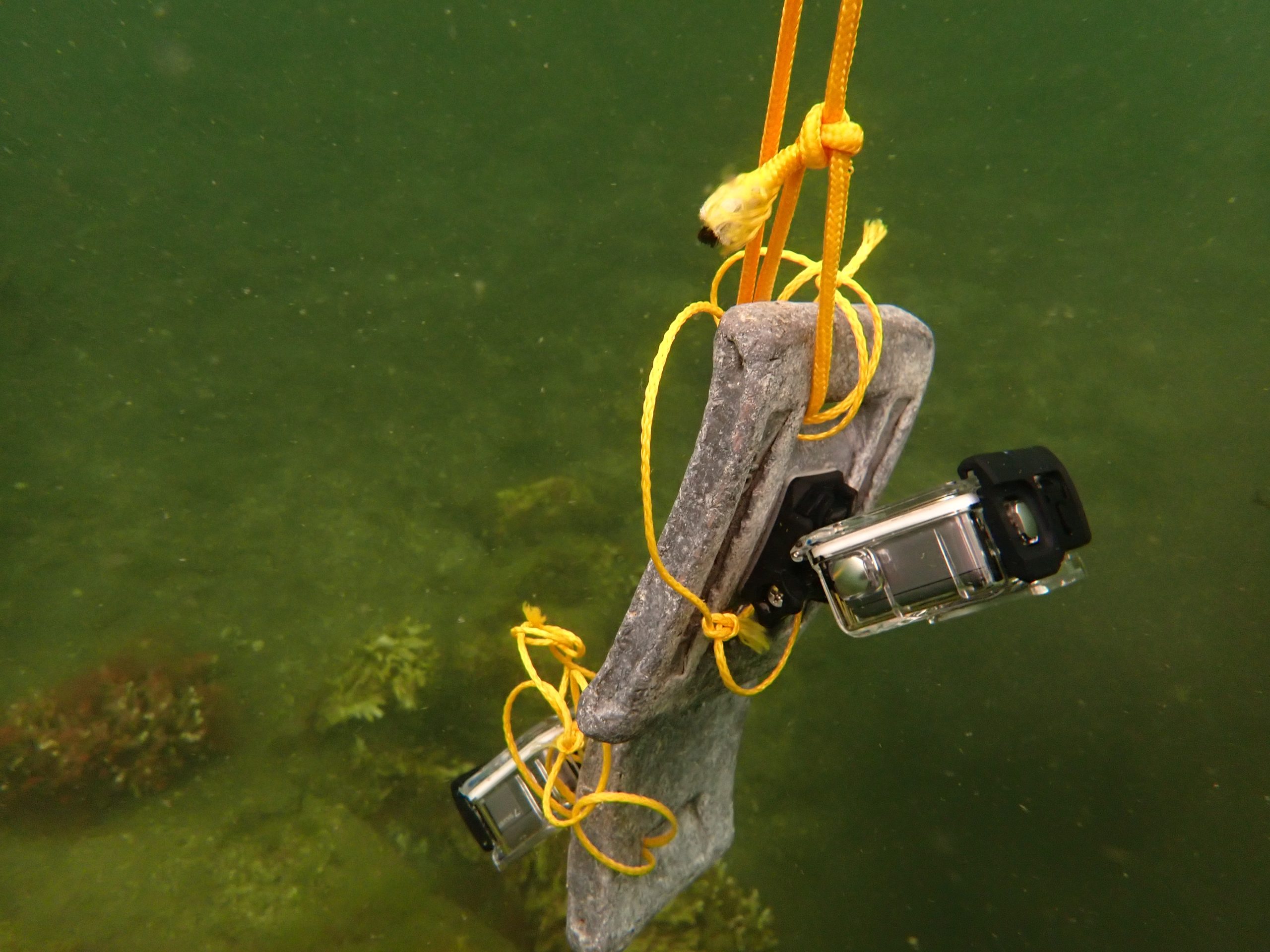 Deploying cameras – How we collect the videos – Seasearch Ireland